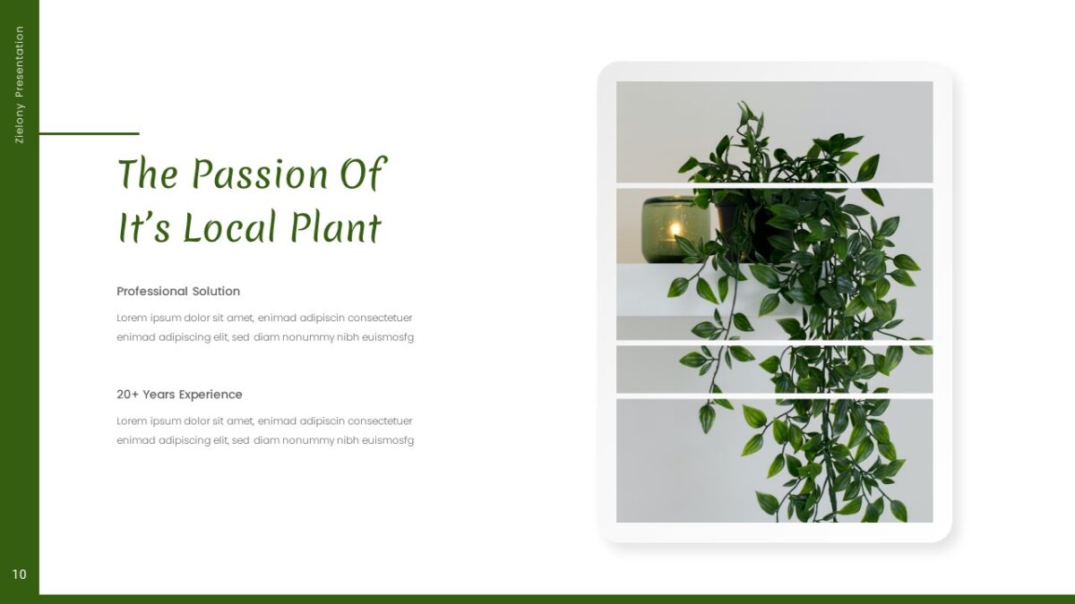Nature Themed Google Slides Template with Image of a Plant - SlideKit