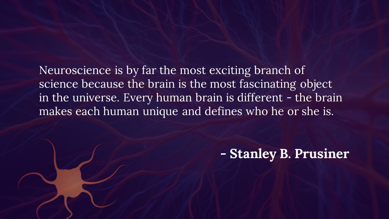 Neuroscience Presentation Template - PowerPoint & Google Slides - SlideKit