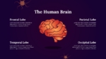 Neuroscience Presentation Template - PowerPoint & Google Slides - SlideKit