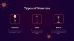 Neuroscience Presentation Template - PowerPoint & Google Slides - SlideKit