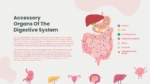 Free Digestive System PowerPoint Presentation Templates and Google ...