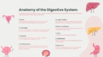 Free Digestive System PowerPoint Presentation Templates and Google ...