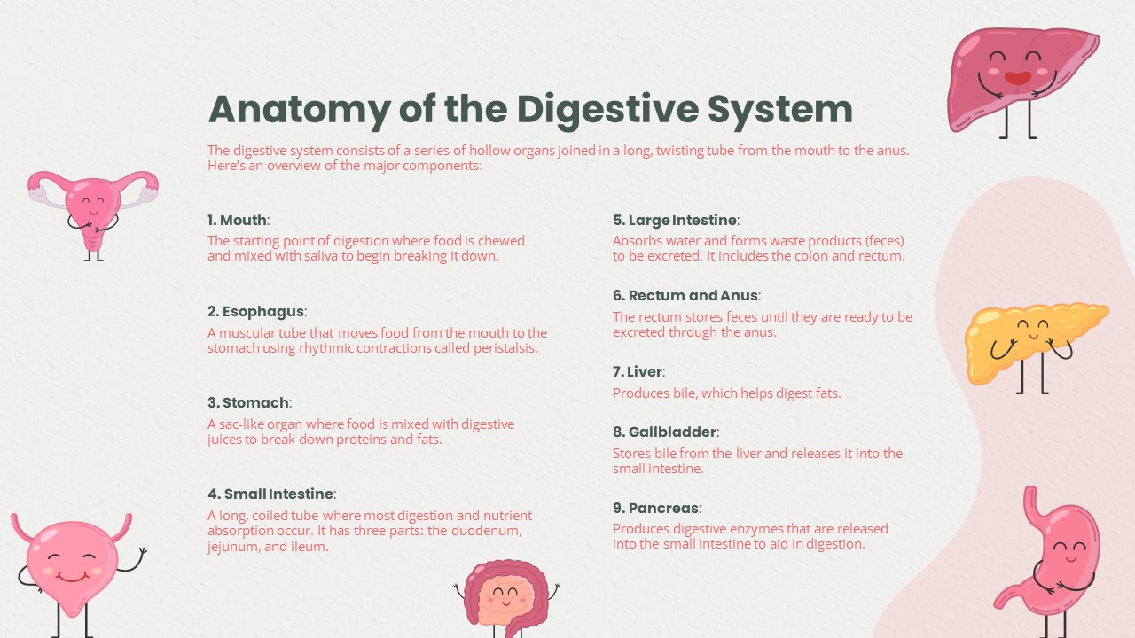 Free Anatomy Of Digestive System Powerpoint Template Slidekit
