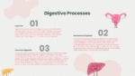 Free Digestive System PowerPoint Presentation Templates and Google ...