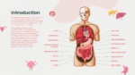 Free Digestive System PowerPoint Presentation Templates and Google ...