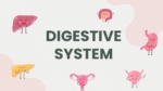 Free Digestive System PowerPoint Presentation Templates and Google ...