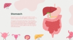 Free Digestive System PowerPoint Presentation Templates and Google ...
