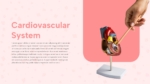 Free Cardiology Presentation Templates For PowerPoint and Google Slides ...