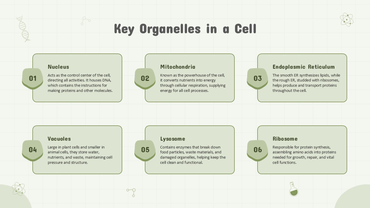 Free Animated Biology PPT & Google Slides Presentation Templates- SlideKit