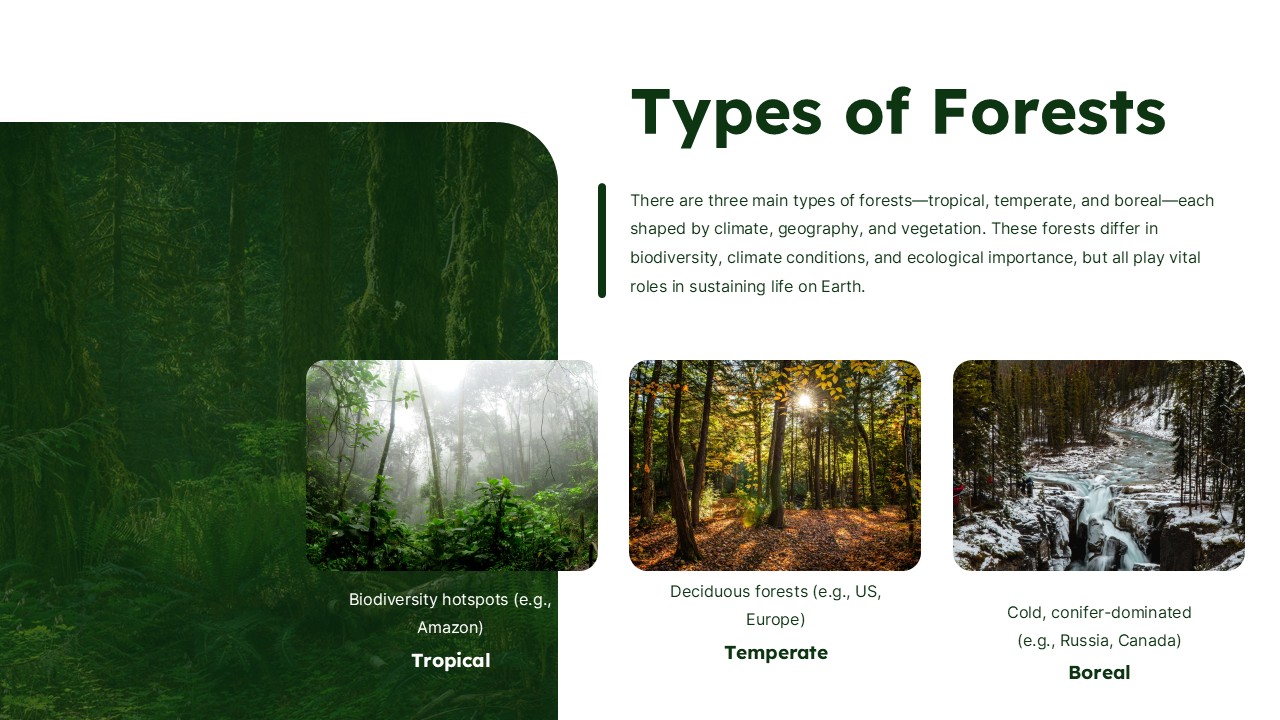 Types of Forest Presentation Template - SlideKit